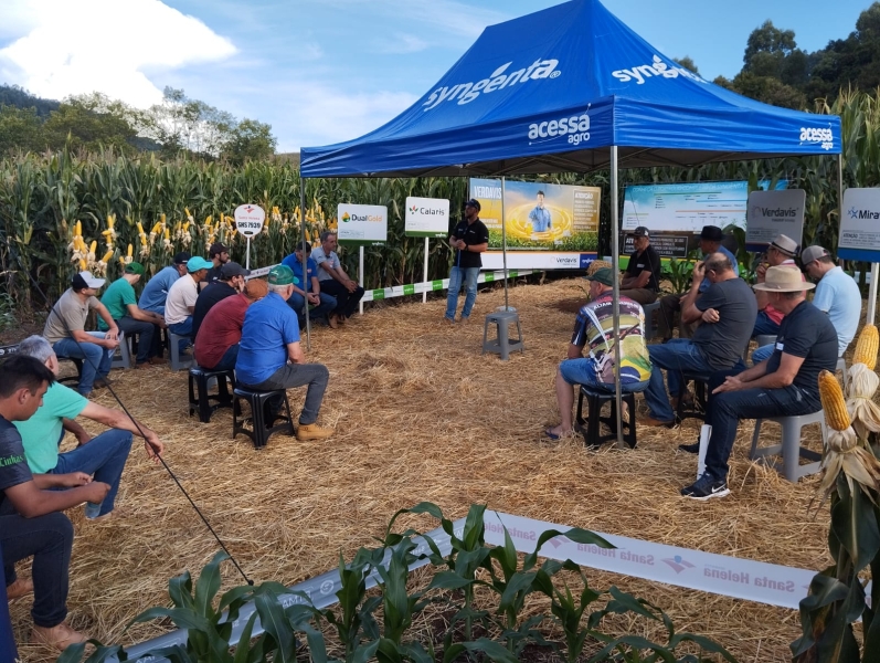 Dia de Campo em Pinheiro Preto - Propriedade Delcir Picolli e Família ...